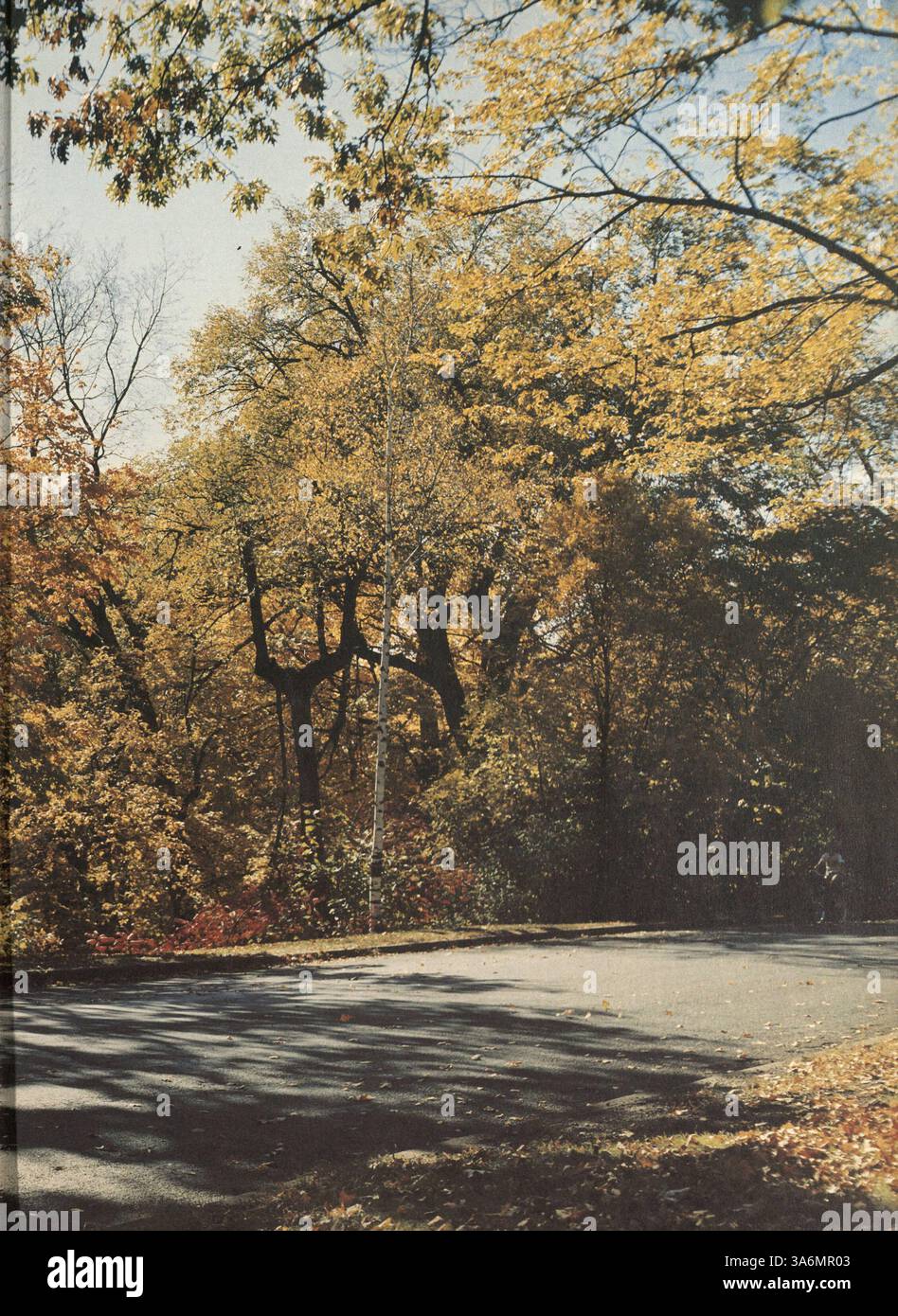 The 1977 Minnehaha Academy Yearbook, Antler, highlights student life, academic events, clubs ...