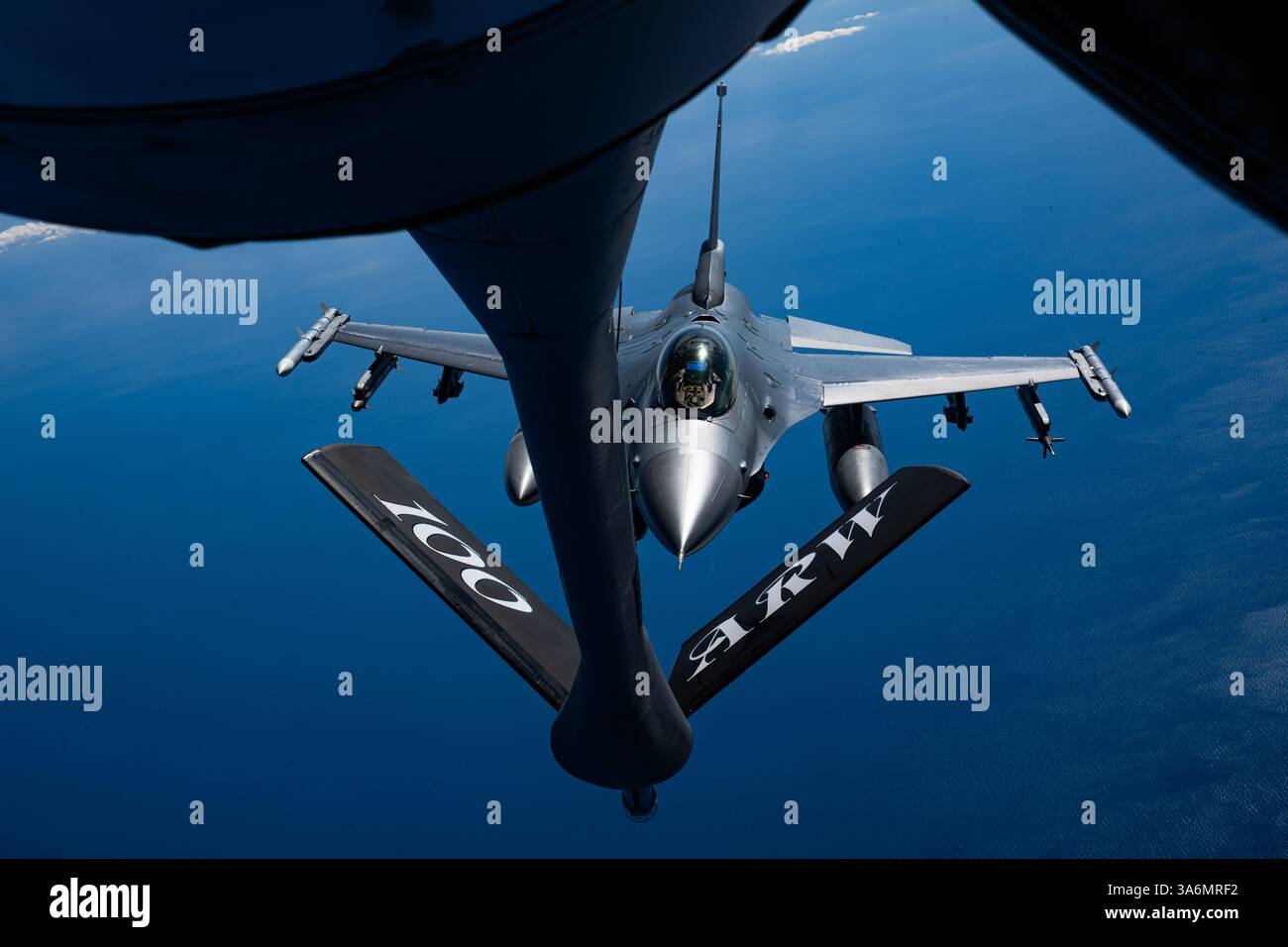 A U.S. Air Force F-16 Fighting Falcon from the 31st Fighter Wing ...