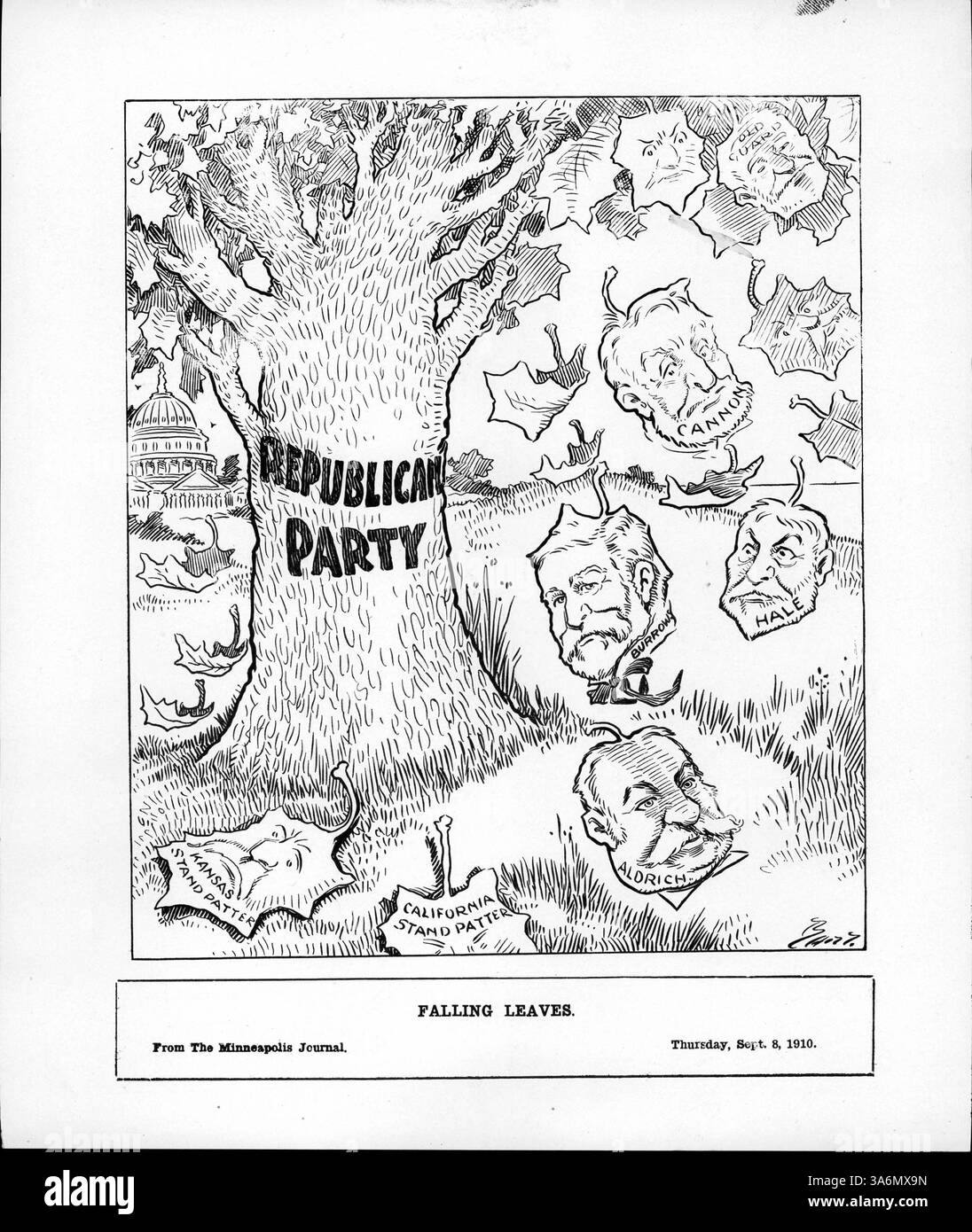 Illustration showing a large oak tree labeled 'Republican Party,' with ...