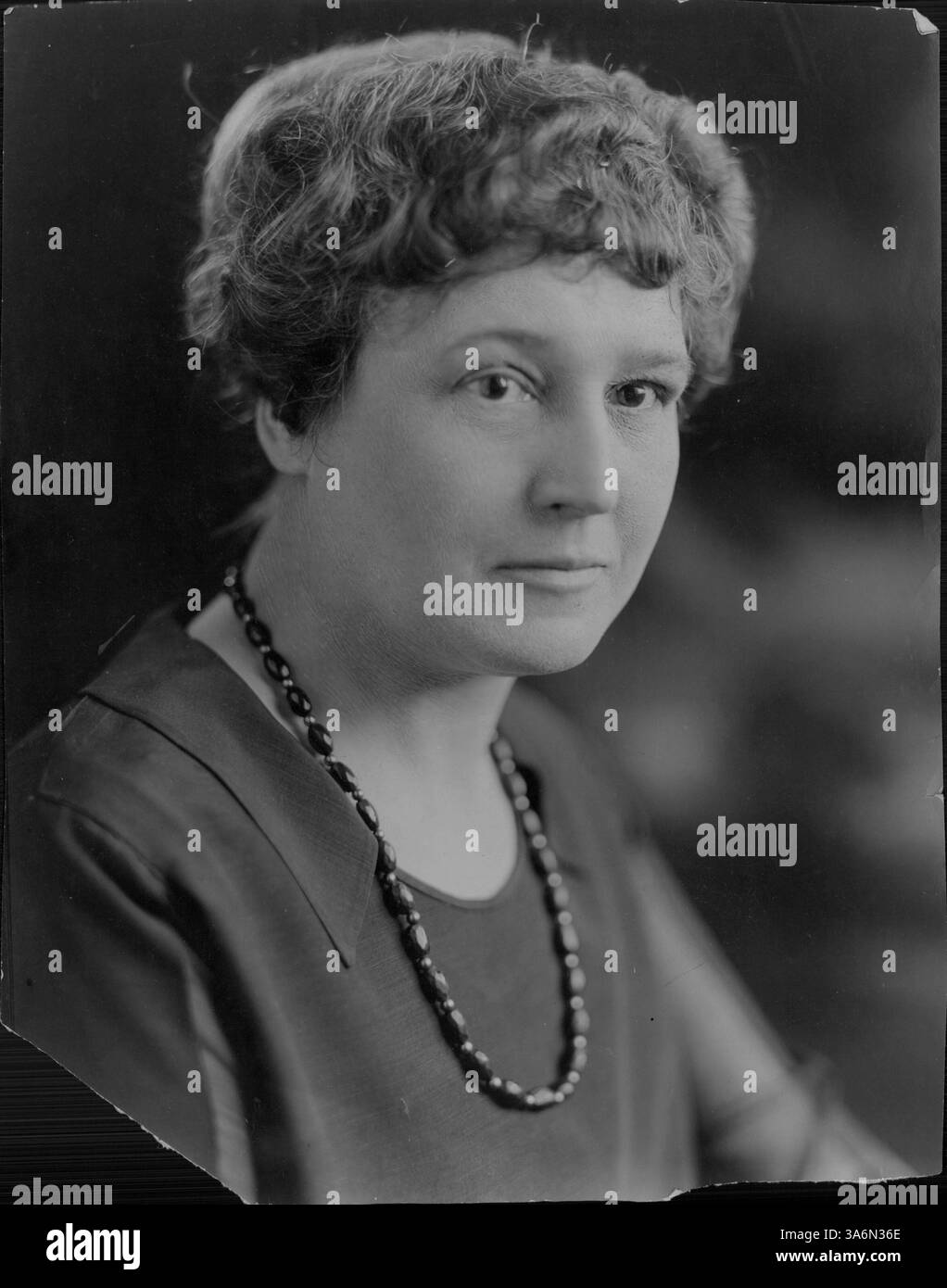 Mrs. Albert B. Loye was an important figure, contributing to local ...