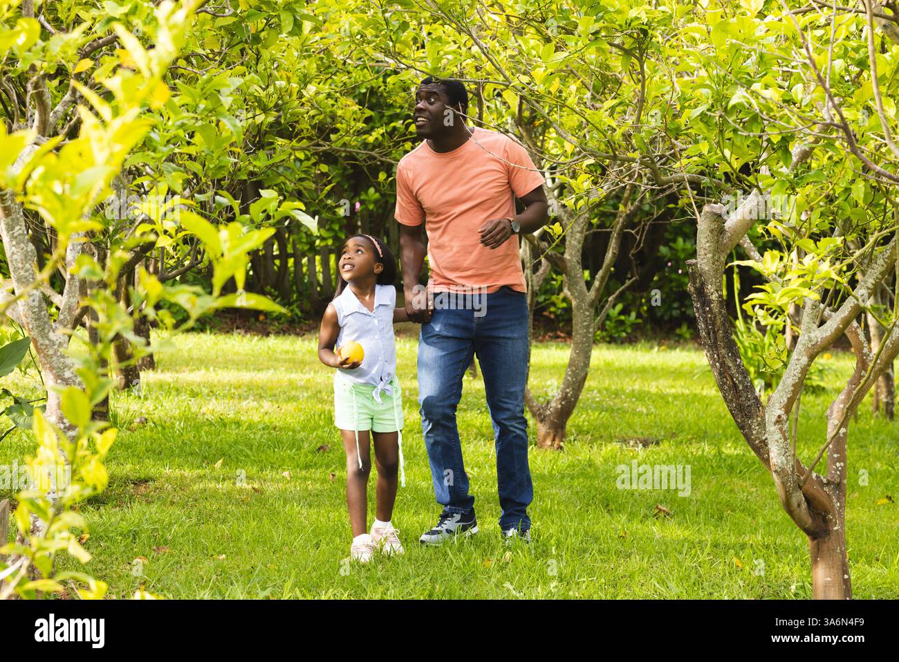 African American father and daughter exploring garden, enjoying nature ...