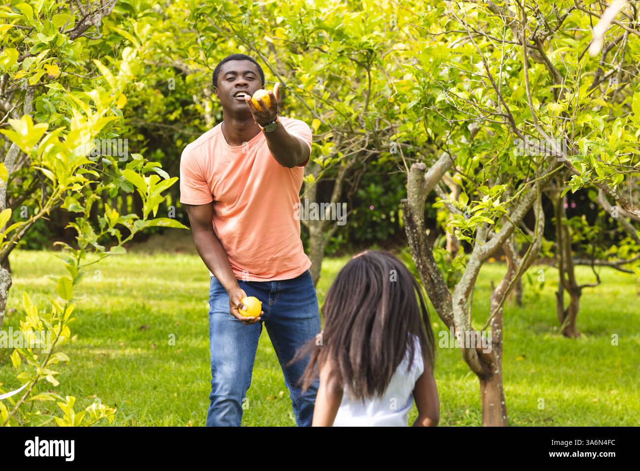 Juggling lemons in orchard, African American father with daughter ...