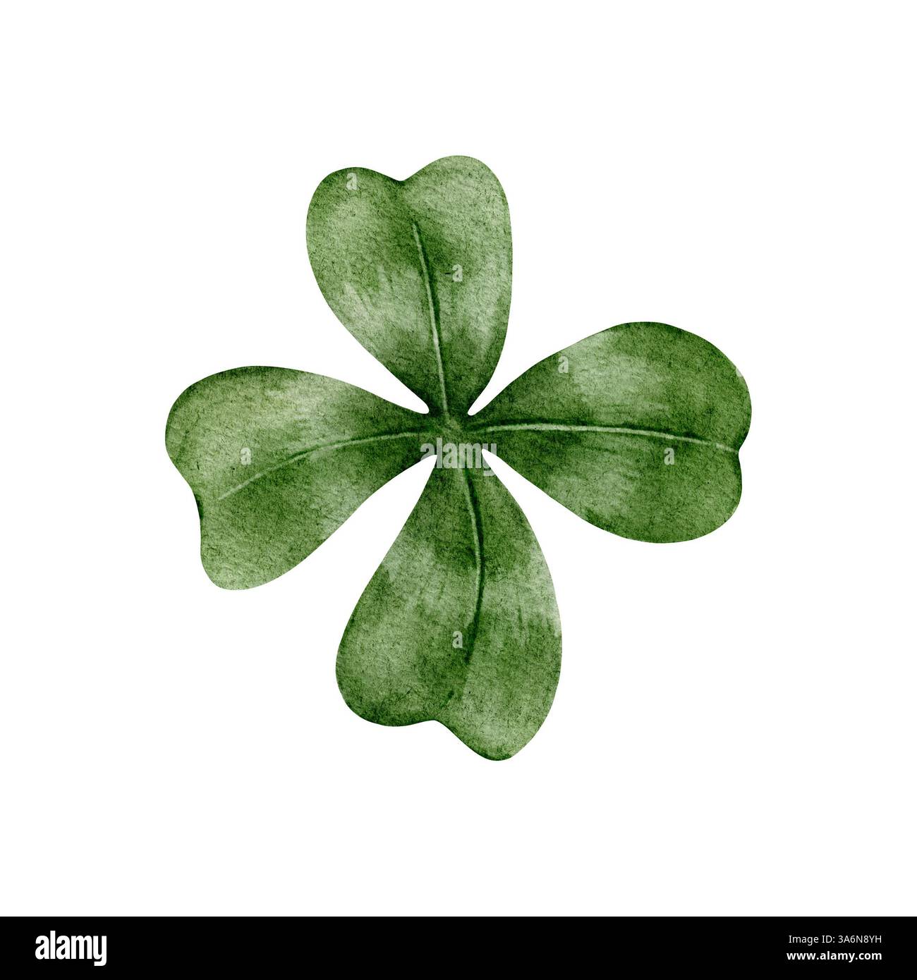 Hand drawn watercolor illustration of green shamrocks. Realistic style ...