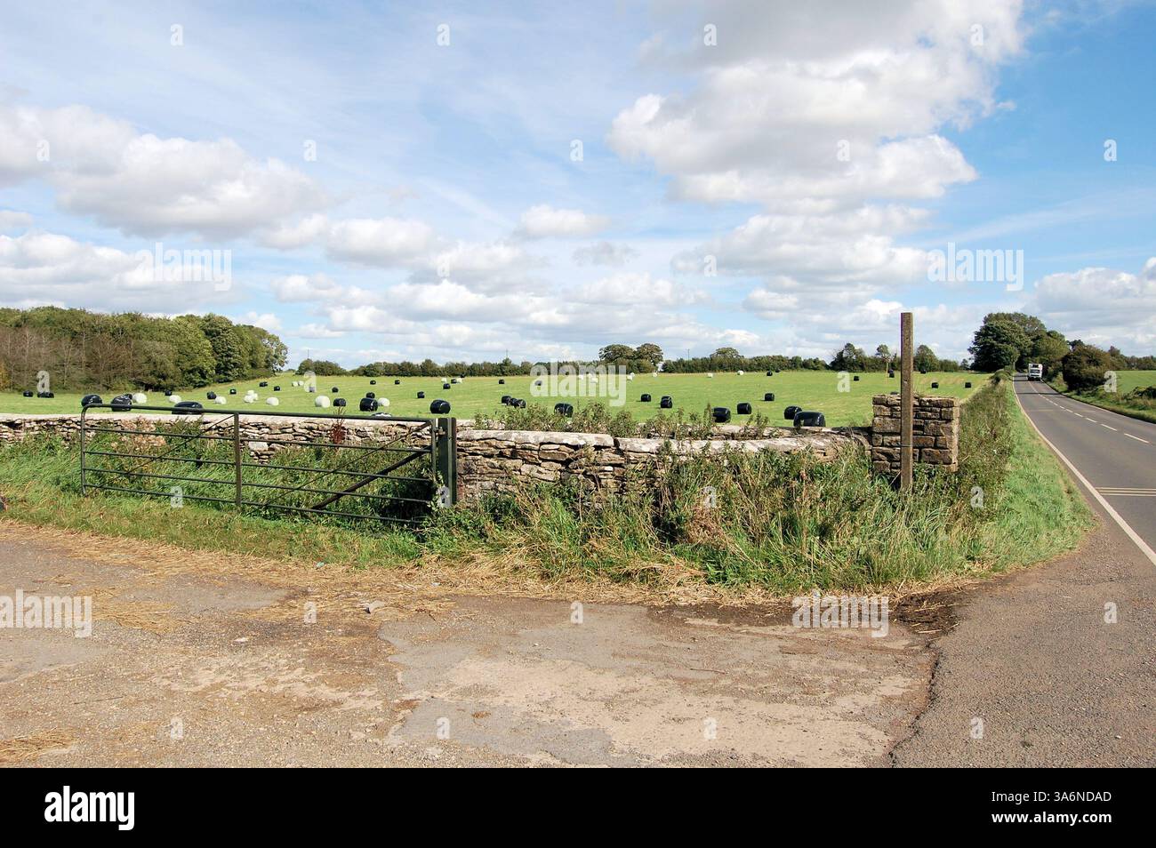 Round bales of black and white bales of silage look like draughts on a ...