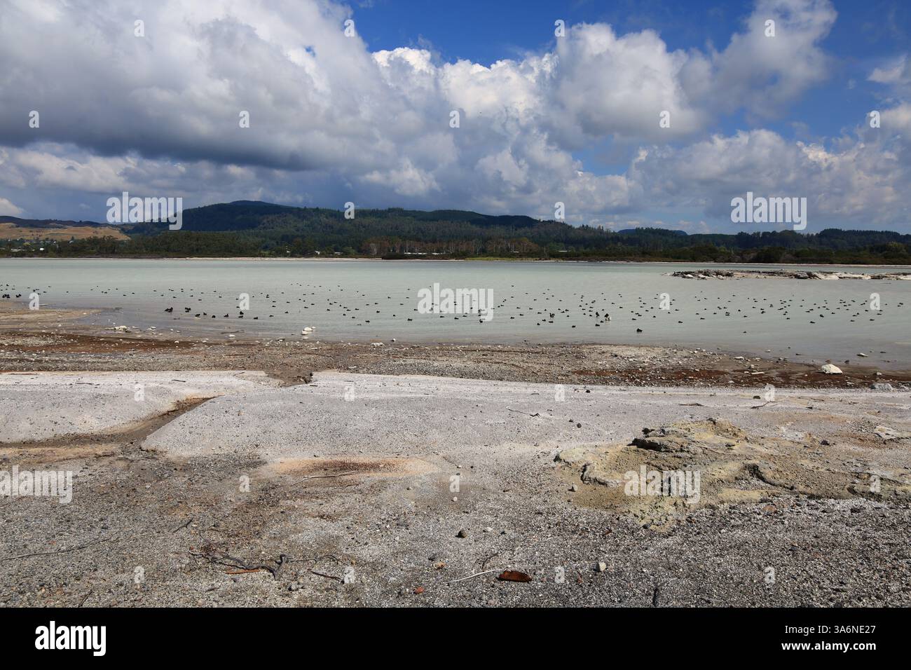 Rotorua is a city in the Bay of Plenty region of New Zealand's North ...