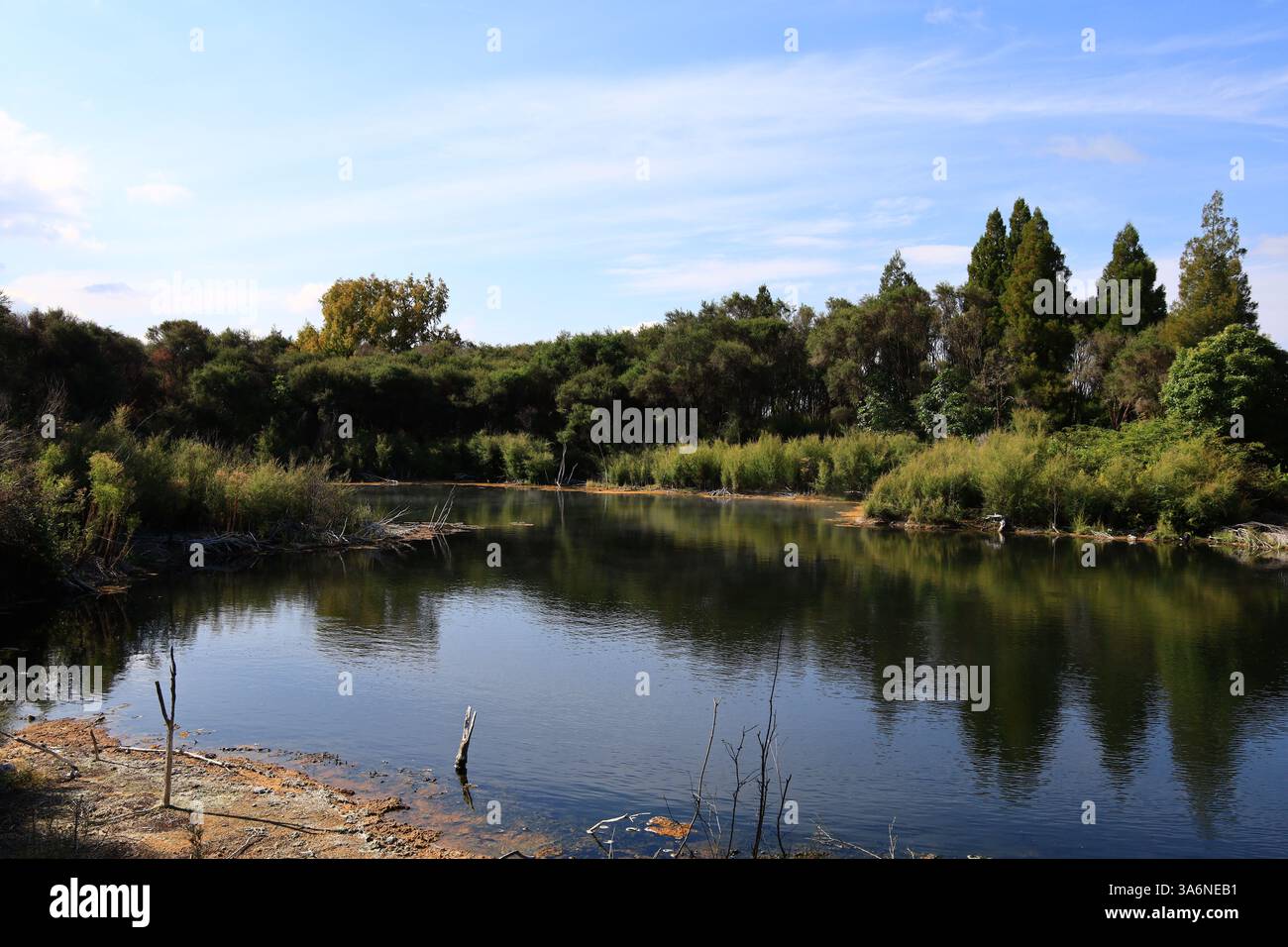Rotorua is a city in the Bay of Plenty region of New Zealand's North ...
