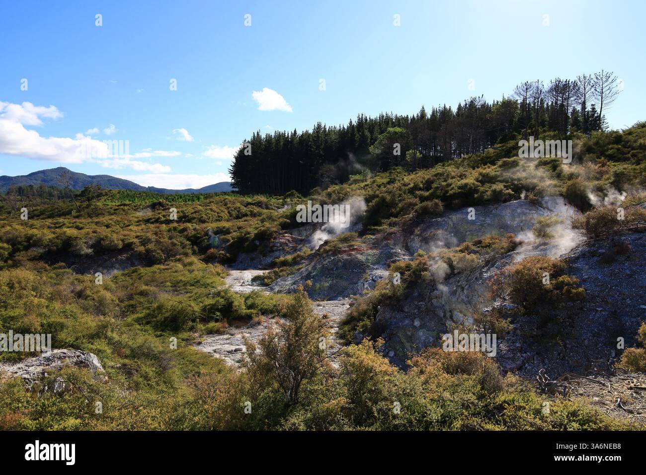 Waiotapu is an active geothermal area at the southern end of the ...