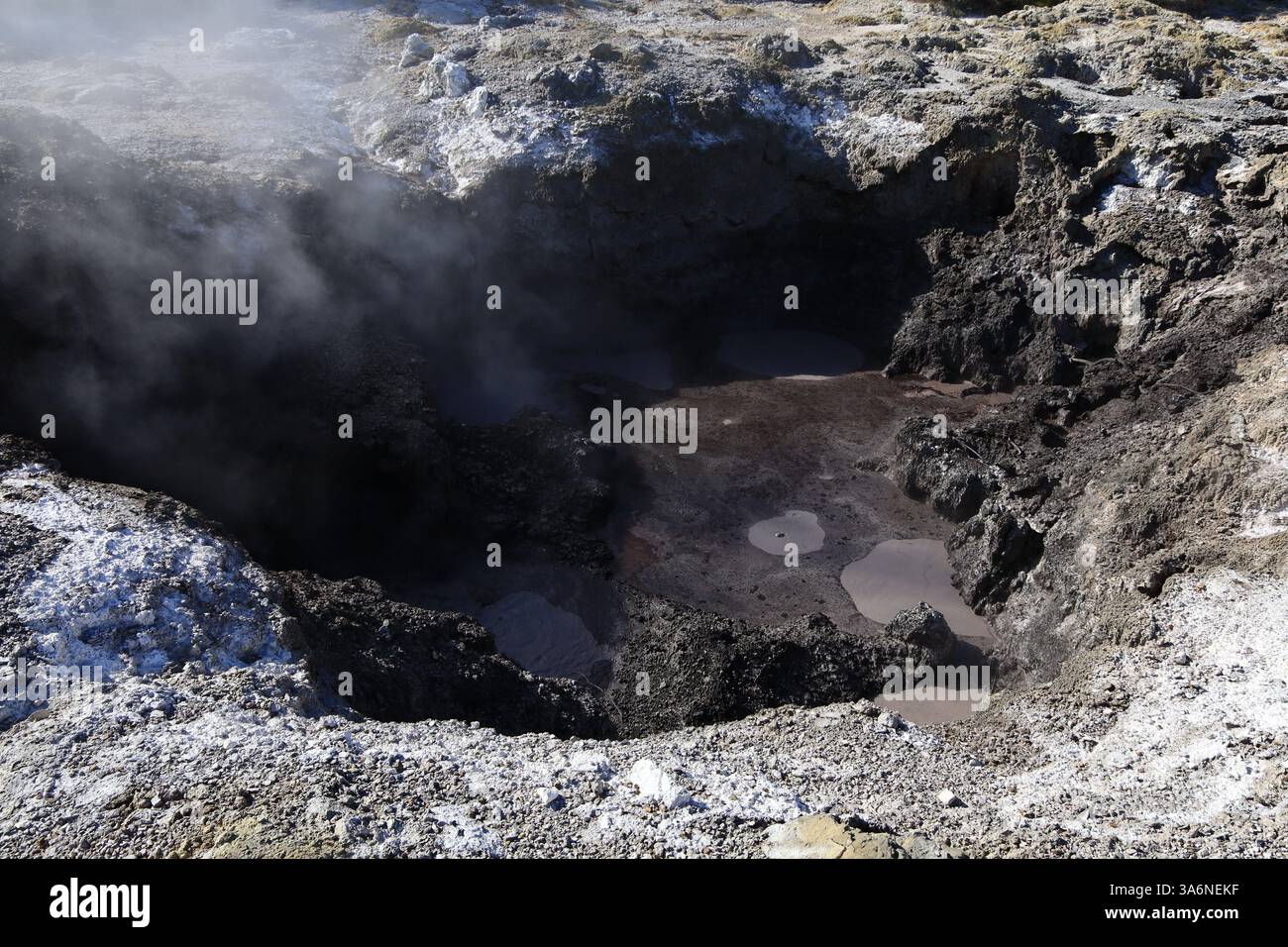 Waiotapu is an active geothermal area at the southern end of the ...