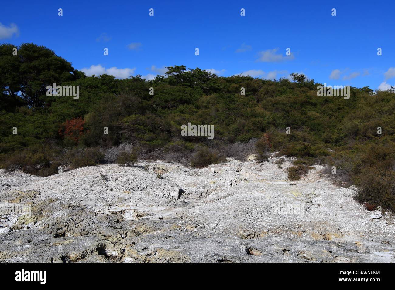 Waiotapu is an active geothermal area at the southern end of the ...