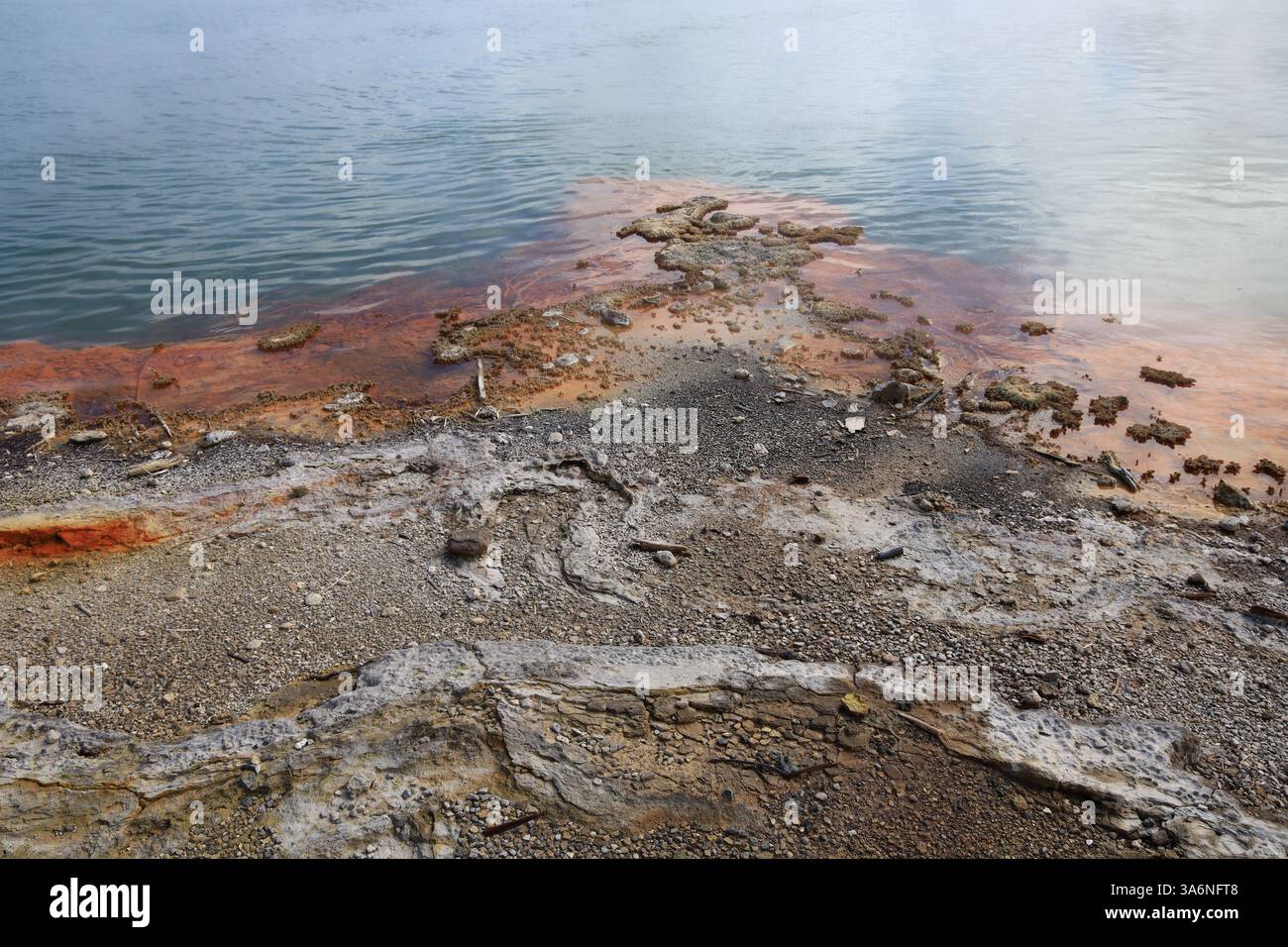 Waiotapu is an active geothermal area at the southern end of the ...