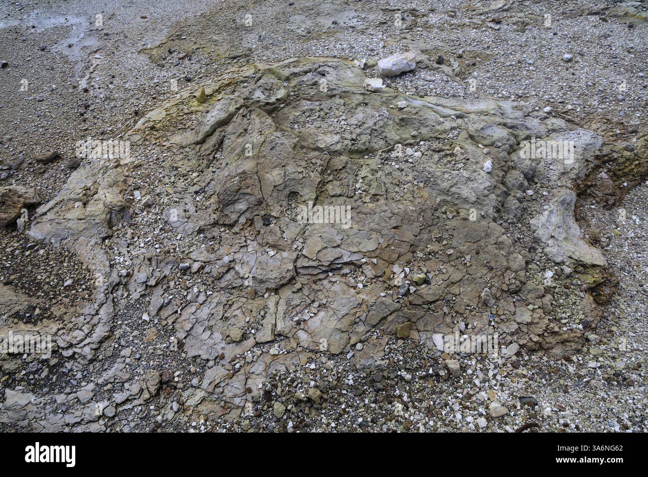 Waiotapu is an active geothermal area at the southern end of the ...