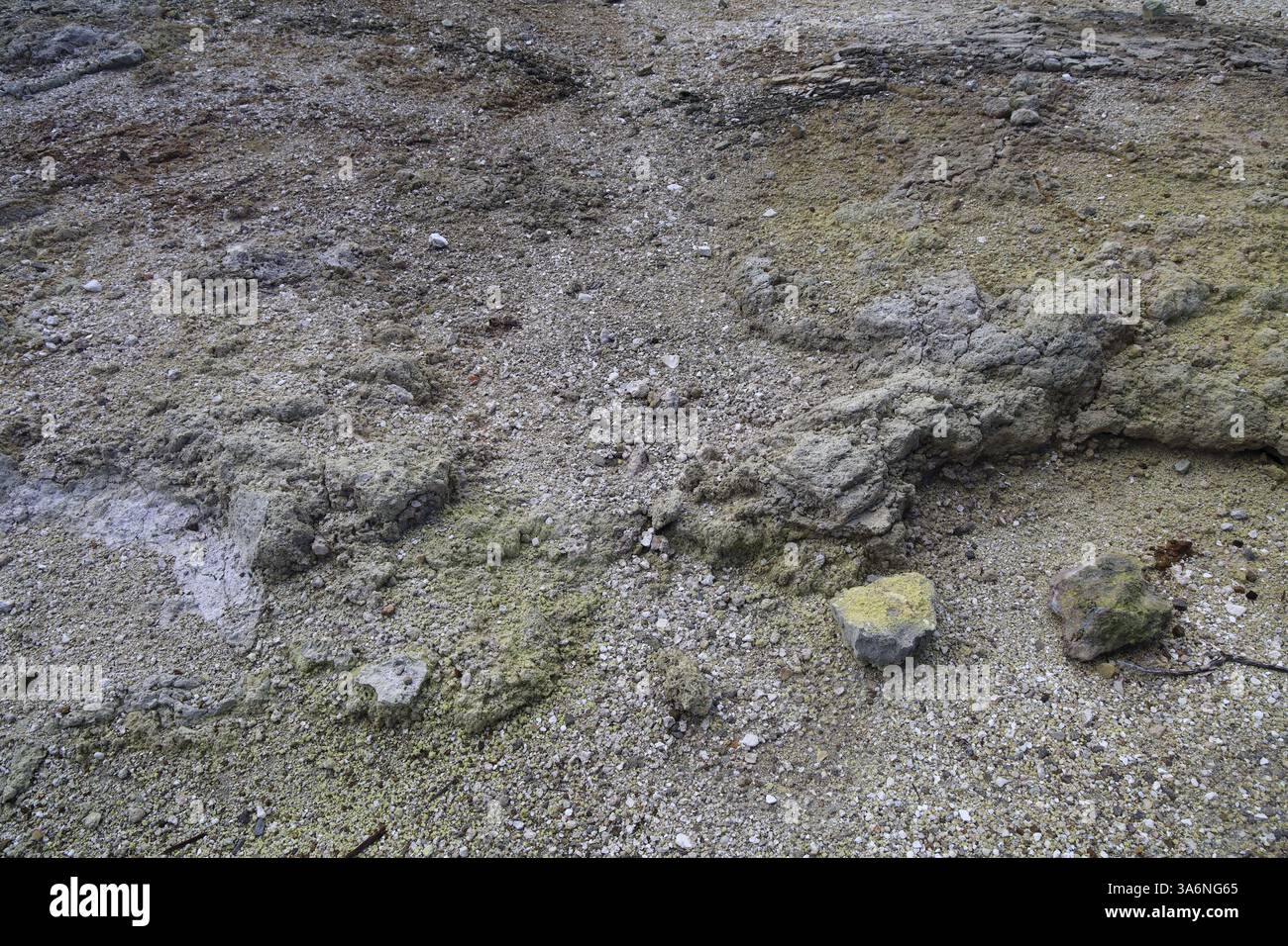 Waiotapu is an active geothermal area at the southern end of the ...