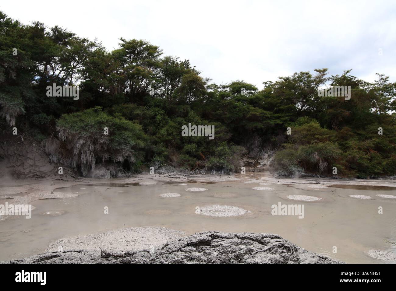Waiotapu is an active geothermal area at the southern end of the ...