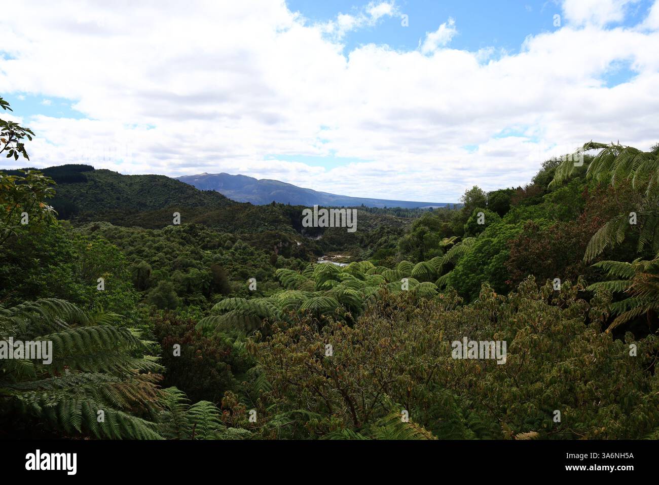 The Waimangu Volcanic Rift Valley is the hydrothermal system created on ...