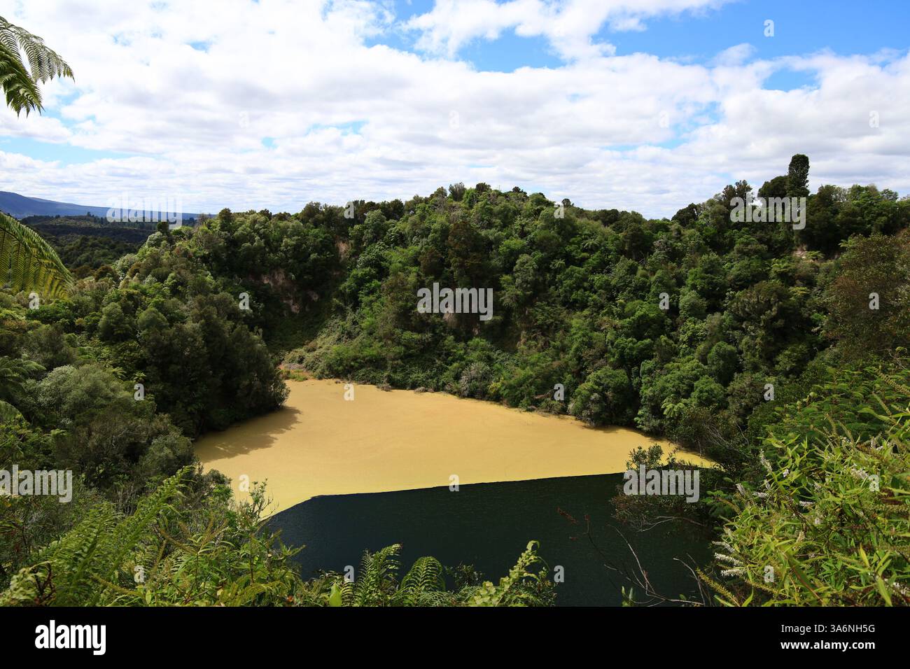 The Waimangu Volcanic Rift Valley is the hydrothermal system created on ...