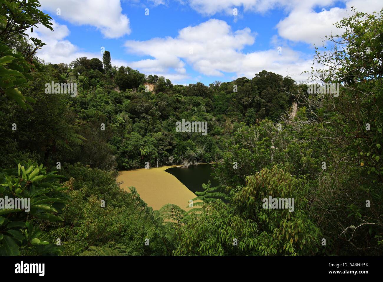 The Waimangu Volcanic Rift Valley is the hydrothermal system created on ...