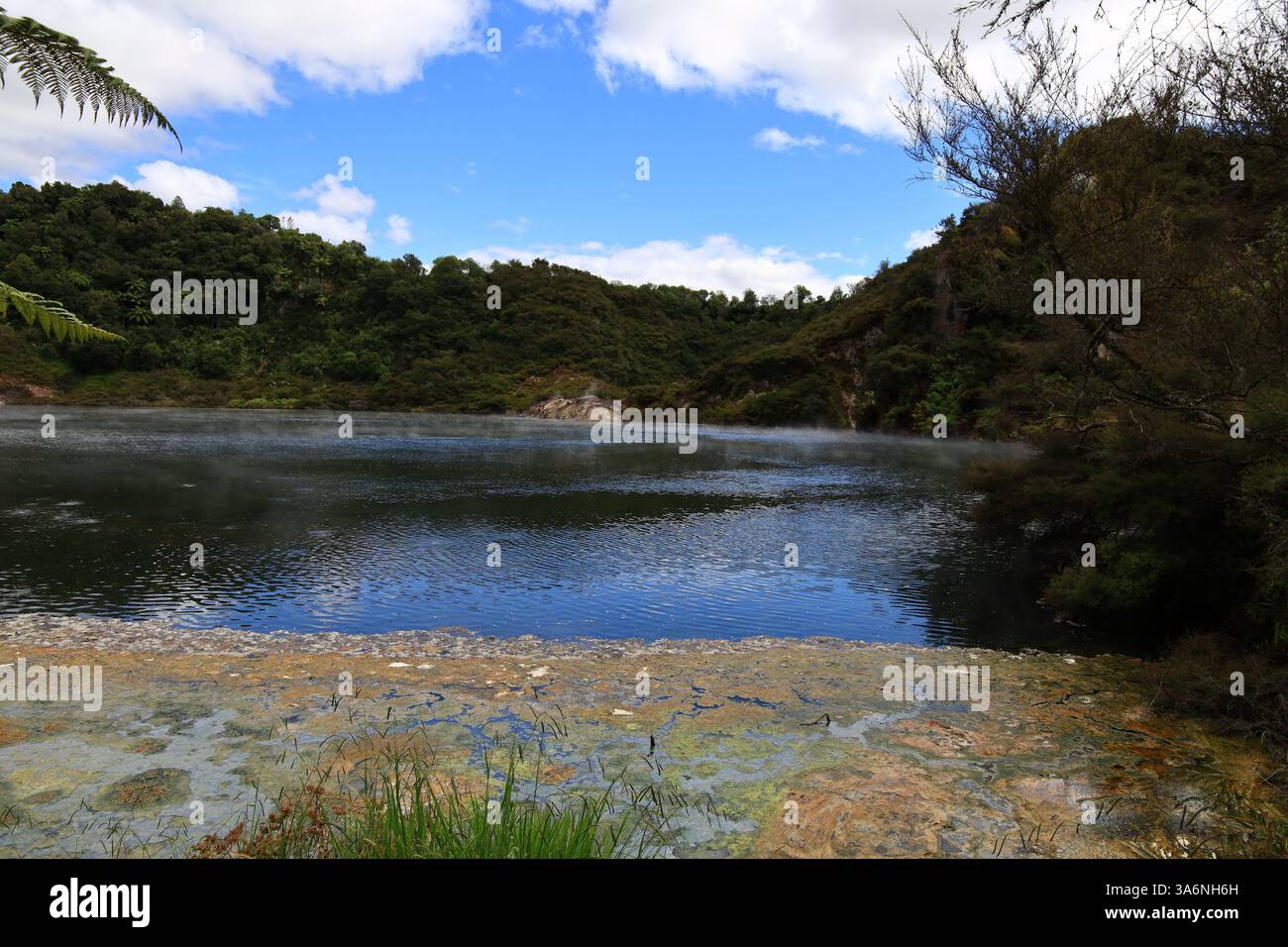 The Waimangu Volcanic Rift Valley is the hydrothermal system created on ...