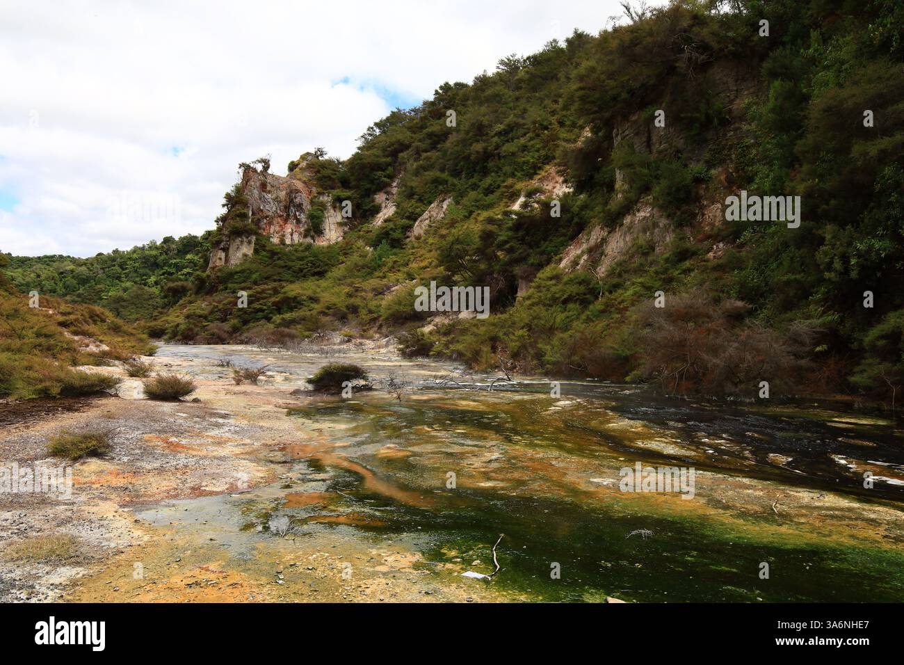 The Waimangu Volcanic Rift Valley is the hydrothermal system created on ...
