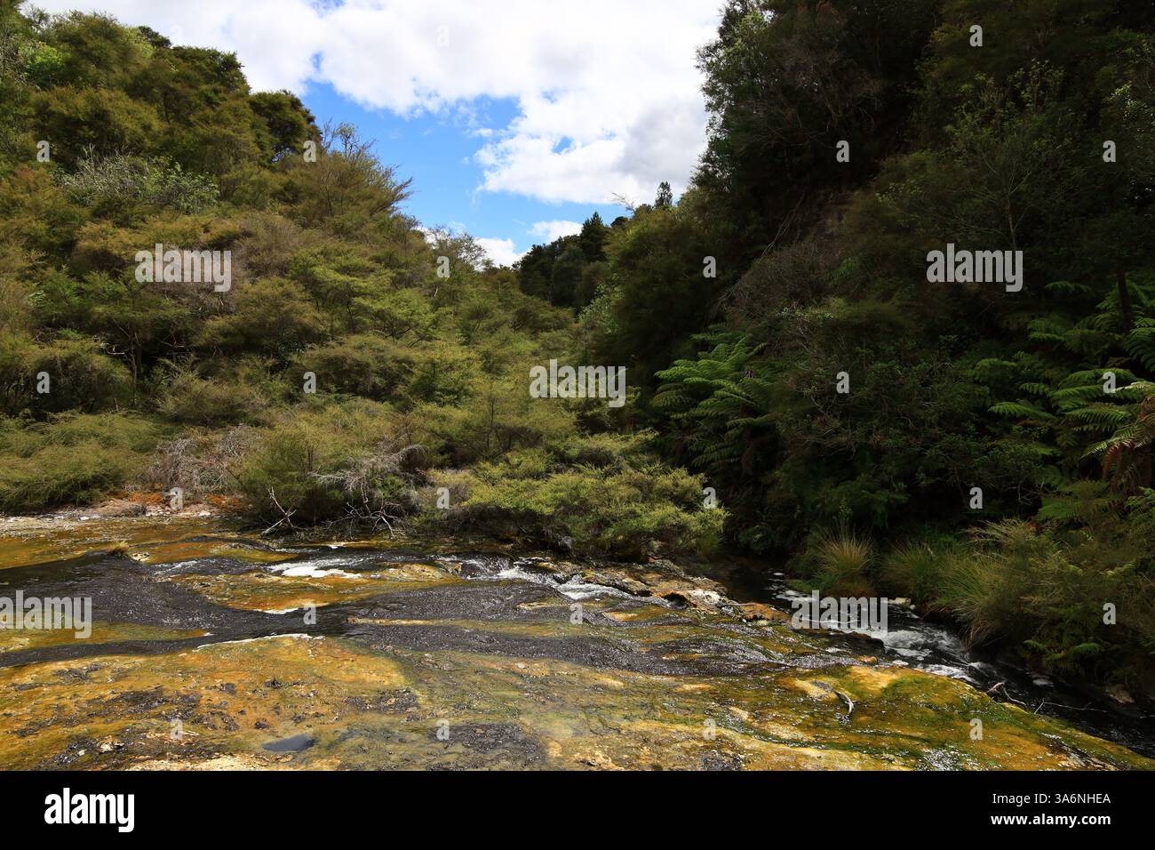 The Waimangu Volcanic Rift Valley is the hydrothermal system created on ...