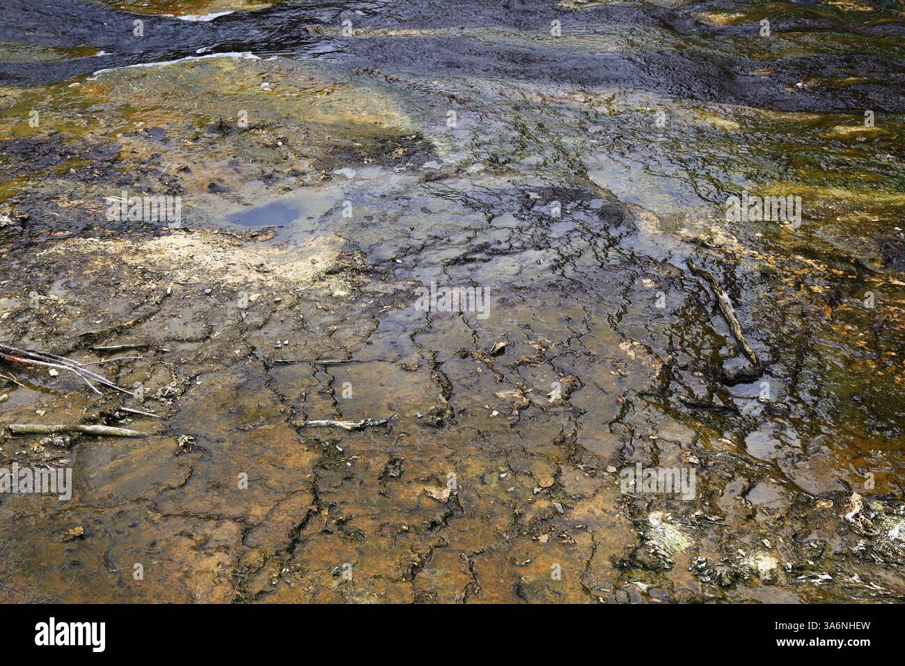 The Waimangu Volcanic Rift Valley is the hydrothermal system created on ...