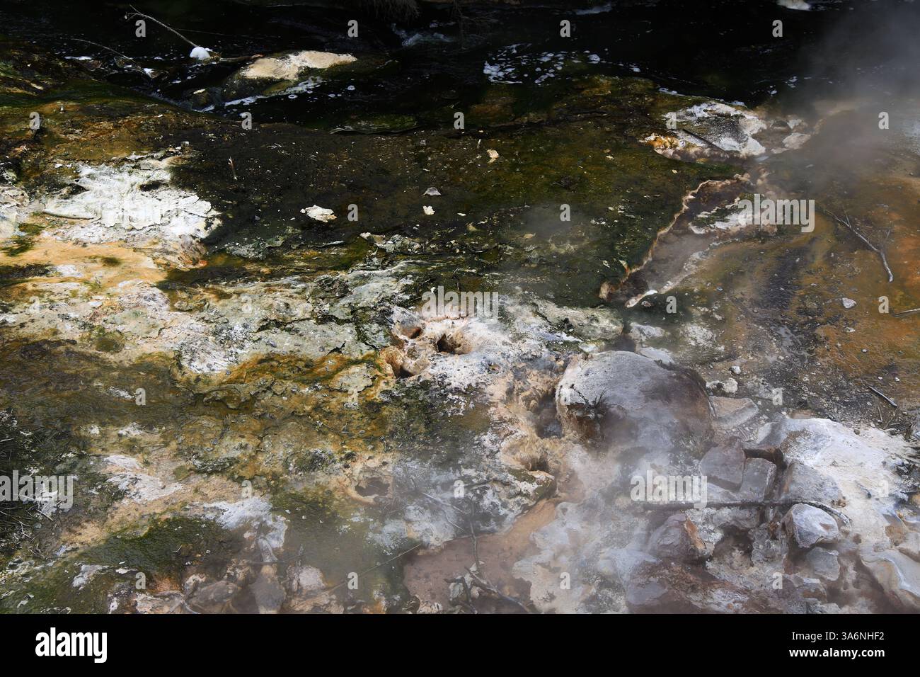 The Waimangu Volcanic Rift Valley is the hydrothermal system created on ...