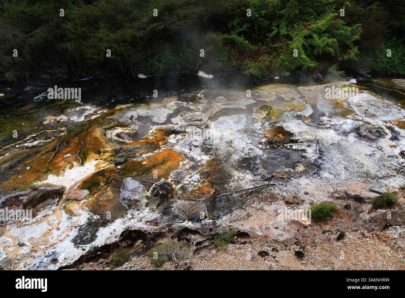 The Waimangu Volcanic Rift Valley is the hydrothermal system created on ...