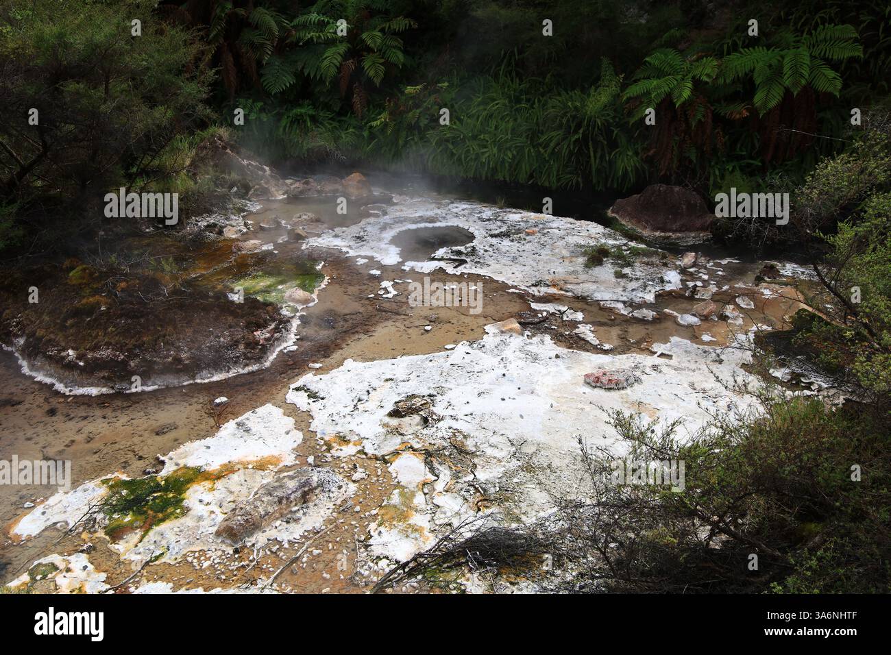 The Waimangu Volcanic Rift Valley is the hydrothermal system created on ...