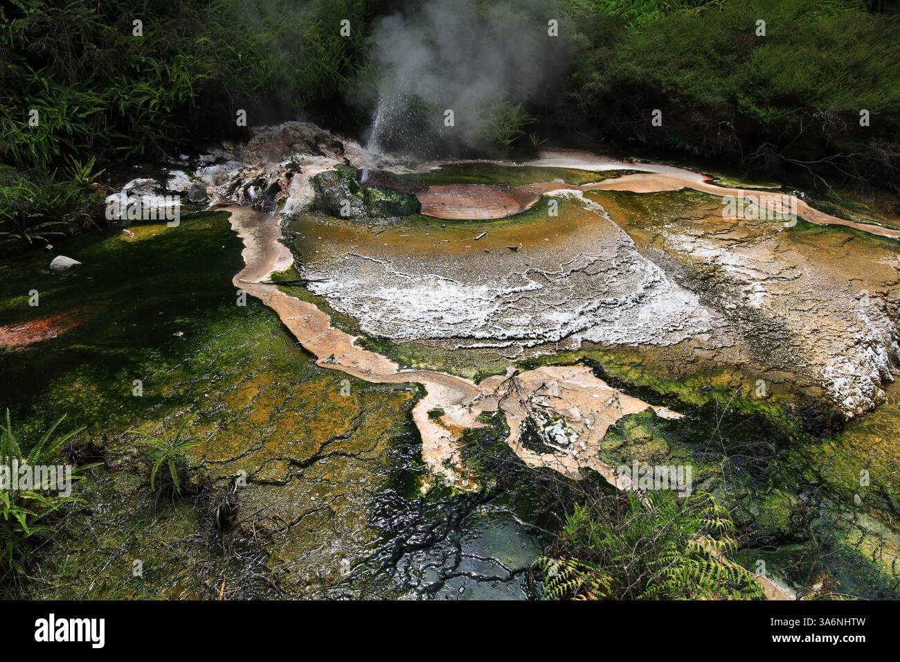 The Waimangu Volcanic Rift Valley is the hydrothermal system created on ...