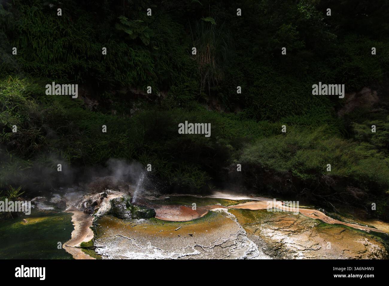 The Waimangu Volcanic Rift Valley is the hydrothermal system created on ...