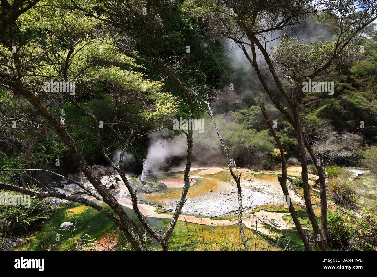 The Waimangu Volcanic Rift Valley is the hydrothermal system created on ...