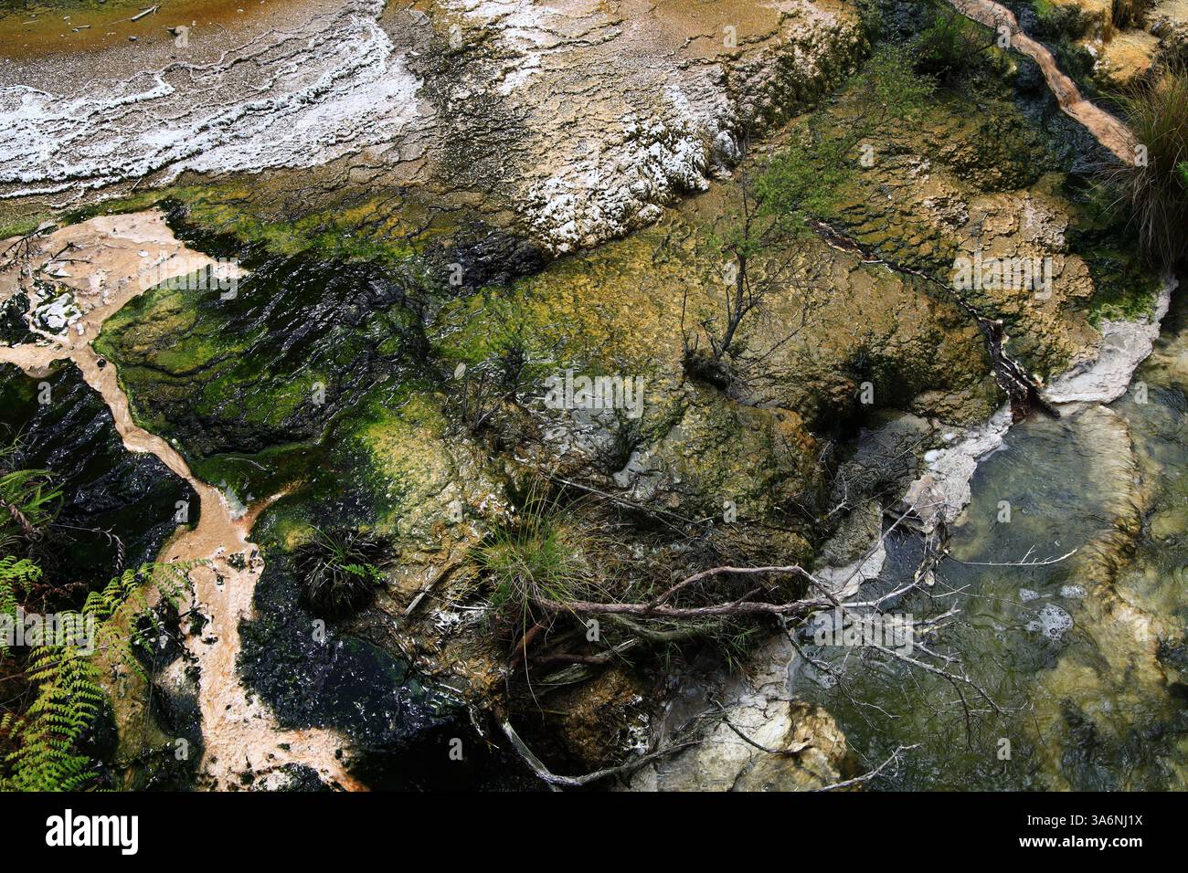 The Waimangu Volcanic Rift Valley is the hydrothermal system created on ...