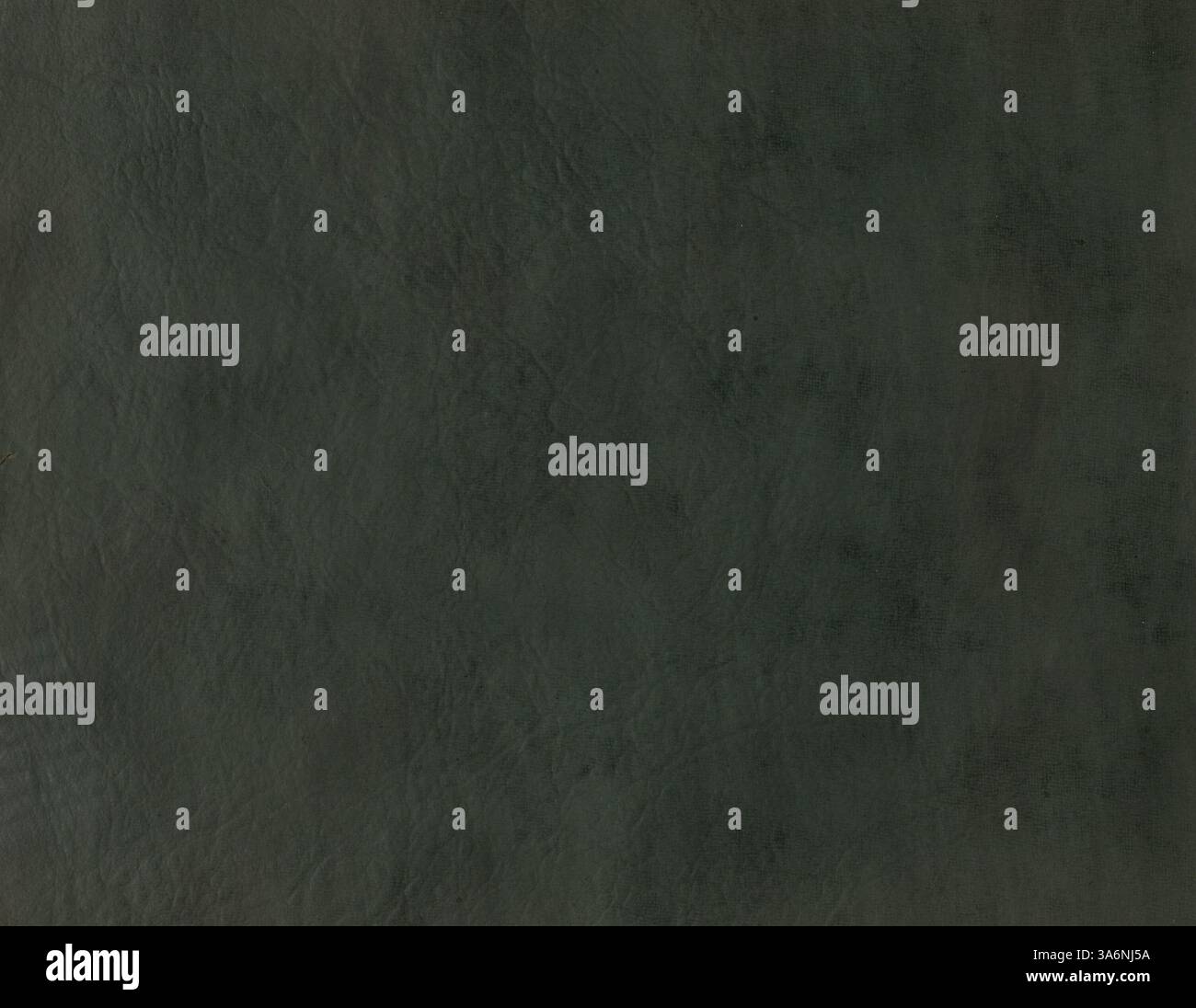 Tatler 1926, the Northrop Collegiate Yearbook, records significant ...