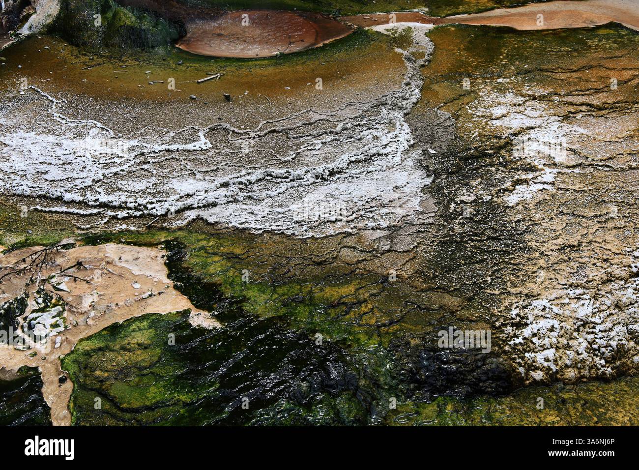 The Waimangu Volcanic Rift Valley is the hydrothermal system created on ...