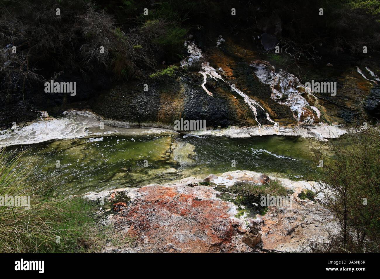 The Waimangu Volcanic Rift Valley is the hydrothermal system created on ...