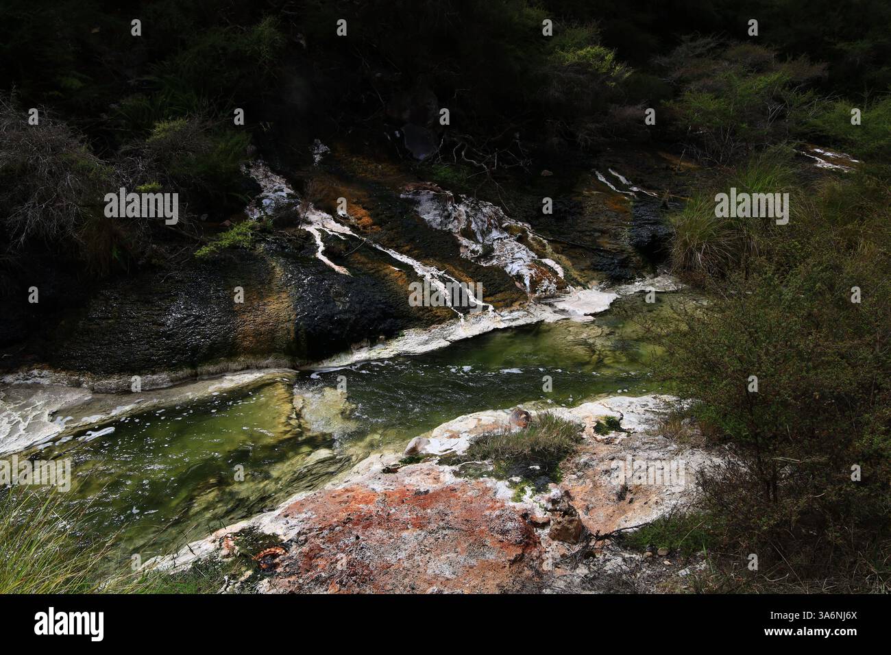 The Waimangu Volcanic Rift Valley is the hydrothermal system created on ...