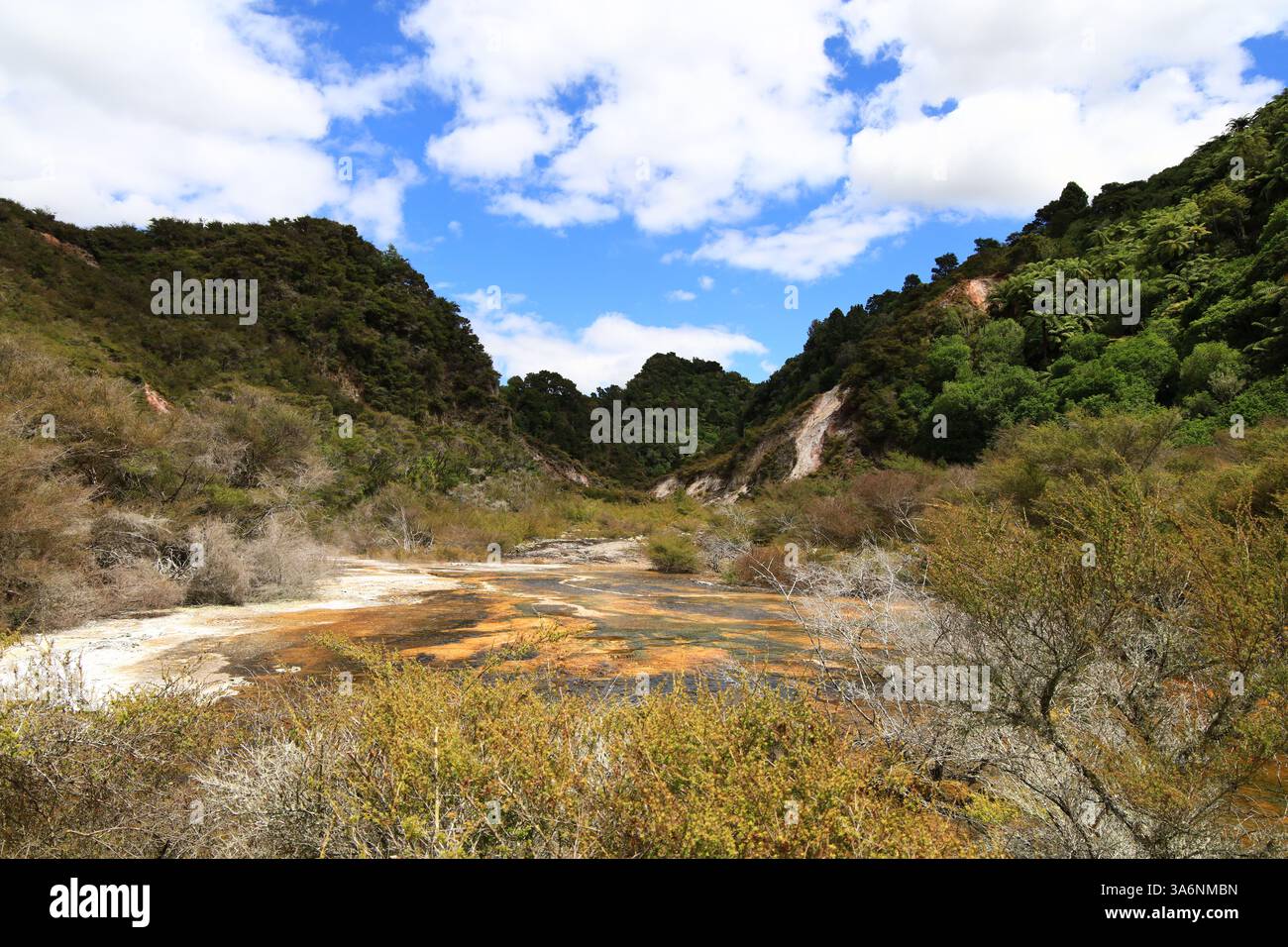 The Waimangu Volcanic Rift Valley is the hydrothermal system created on ...