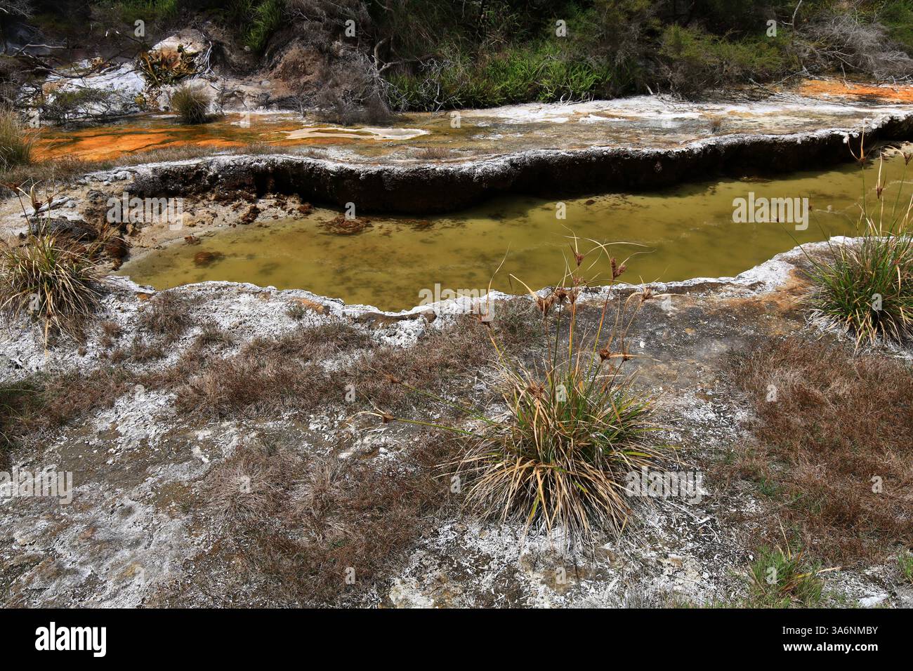 The Waimangu Volcanic Rift Valley is the hydrothermal system created on ...