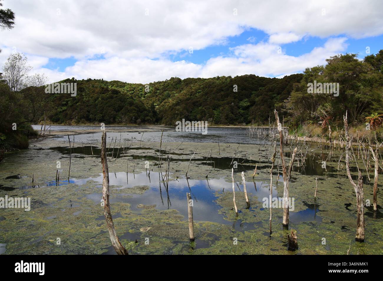 The Waimangu Volcanic Rift Valley is the hydrothermal system created on ...