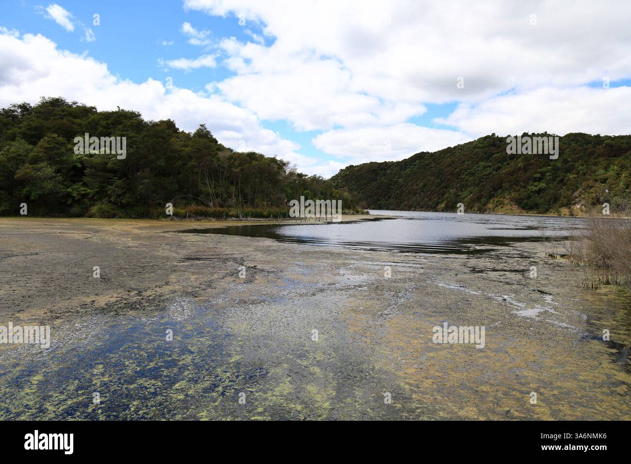 The Waimangu Volcanic Rift Valley is the hydrothermal system created on ...