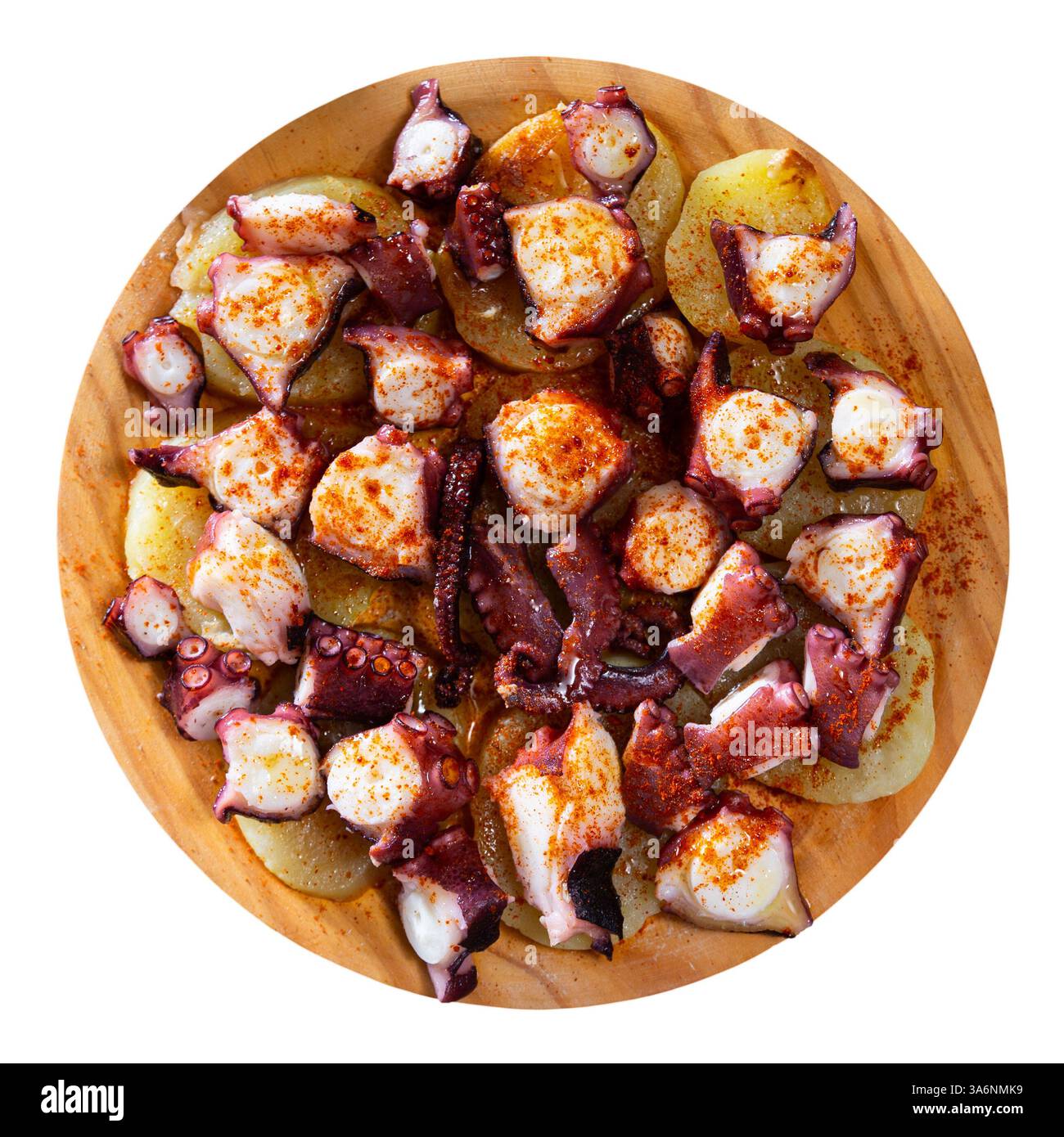 Atlantic octopus Cut Out Stock Images & Pictures - Alamy