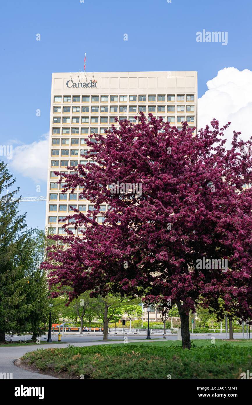 Ottawa, Canada - May 16, 2024: Government building in downtown in spring. National Defence ...