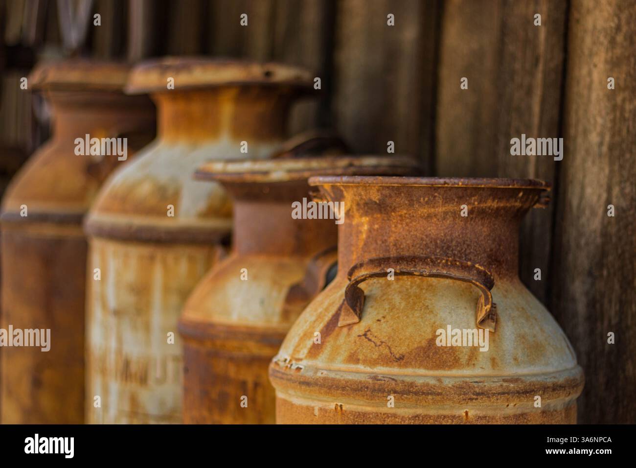 Four rusty antique metal milk cans lined up next to a wood building ...