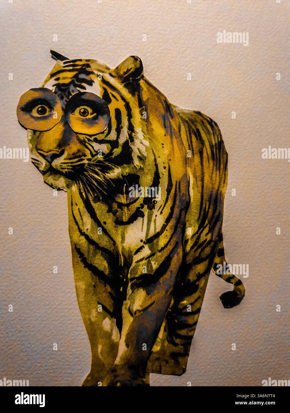 A tiger with big open human eyes sneaking up Stock Photo - Alamy