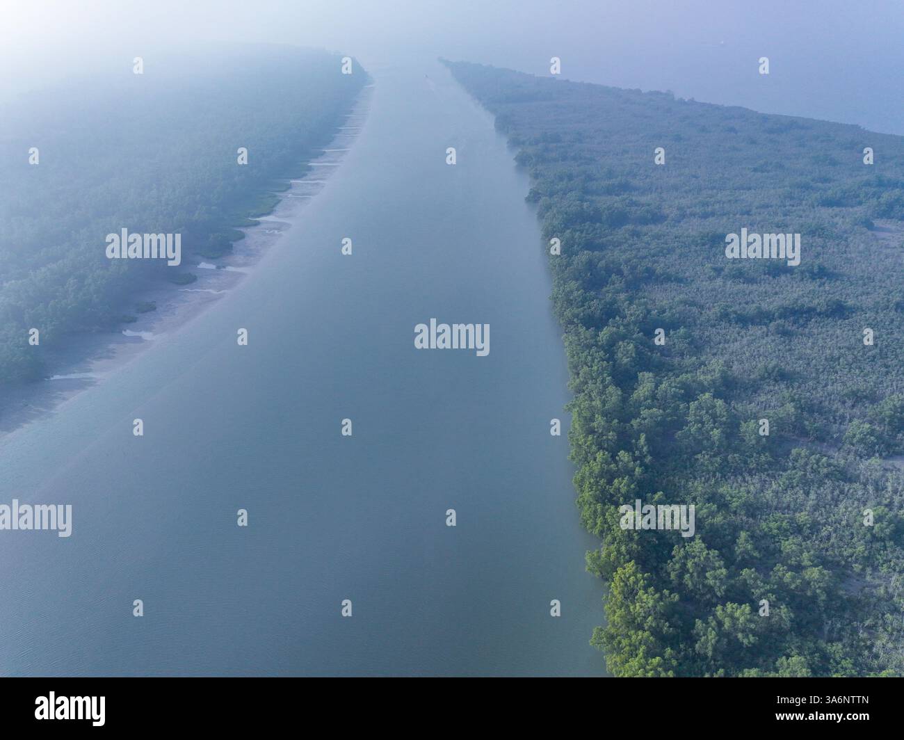 An aerial view of the Sundarbans on a foggy day, showcasing the world's ...