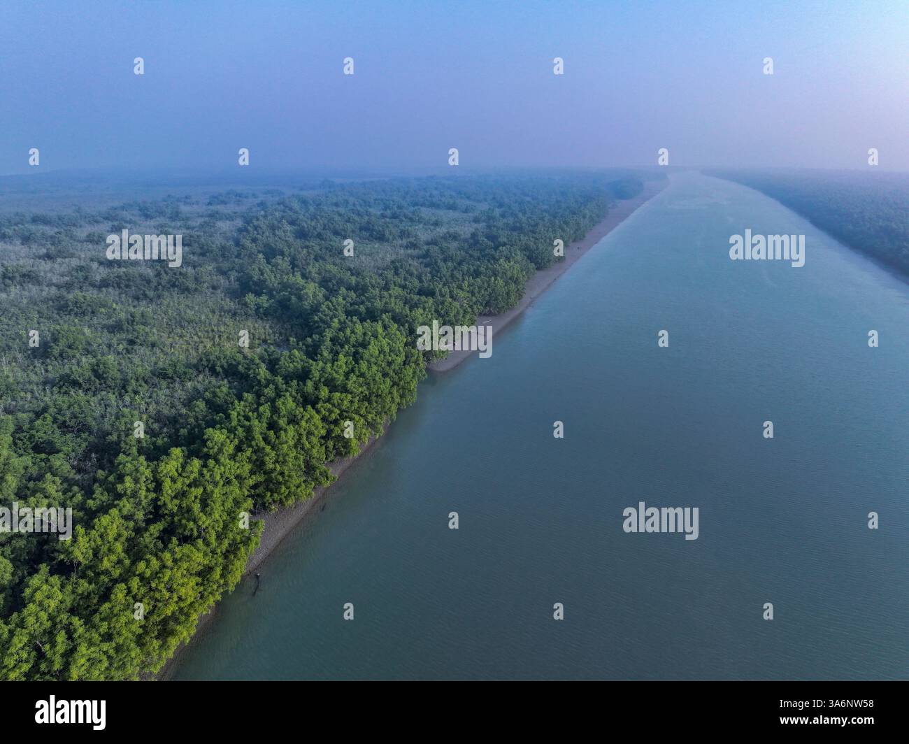 An aerial view of the Sundarbans on a foggy day, showcasing the world's ...