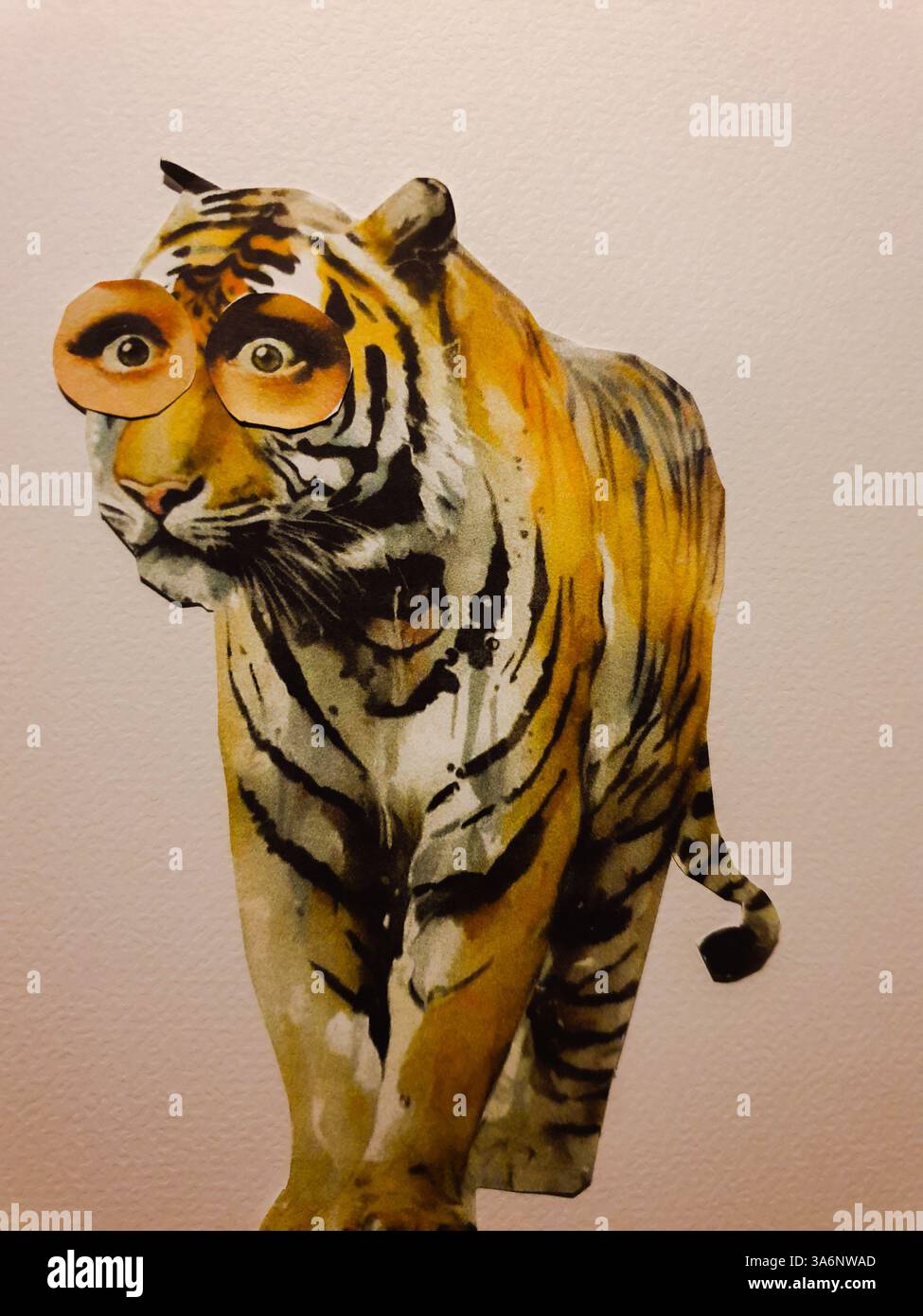 A tiger with big open human eyes sneaking up Stock Photo - Alamy