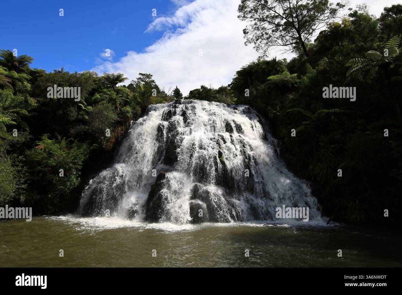 Owharoa Falls is a waterfall in Waikato, New Zealand, located off ...