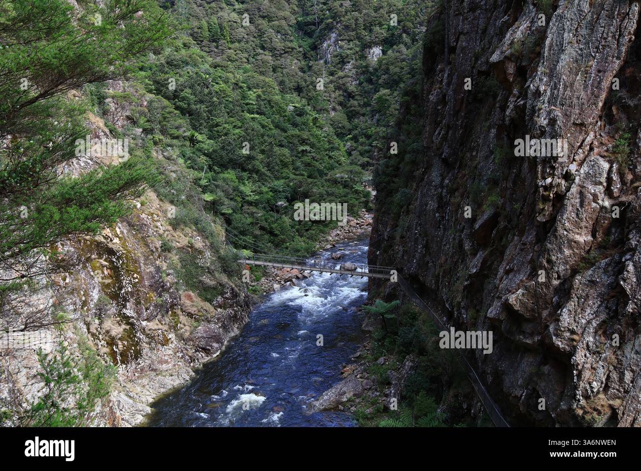 The Karangahake Gorge lies between the Coromandel and Kaimai ranges, at ...