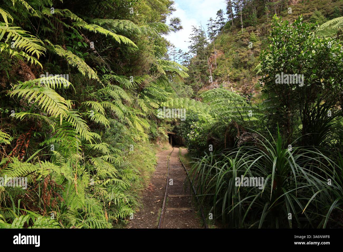 The Karangahake Gorge lies between the Coromandel and Kaimai ranges, at ...