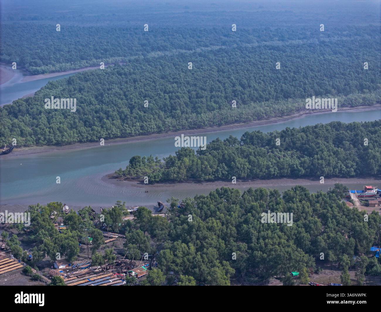 An aerial view of the Sundarbans on a foggy day, showcasing the world's ...